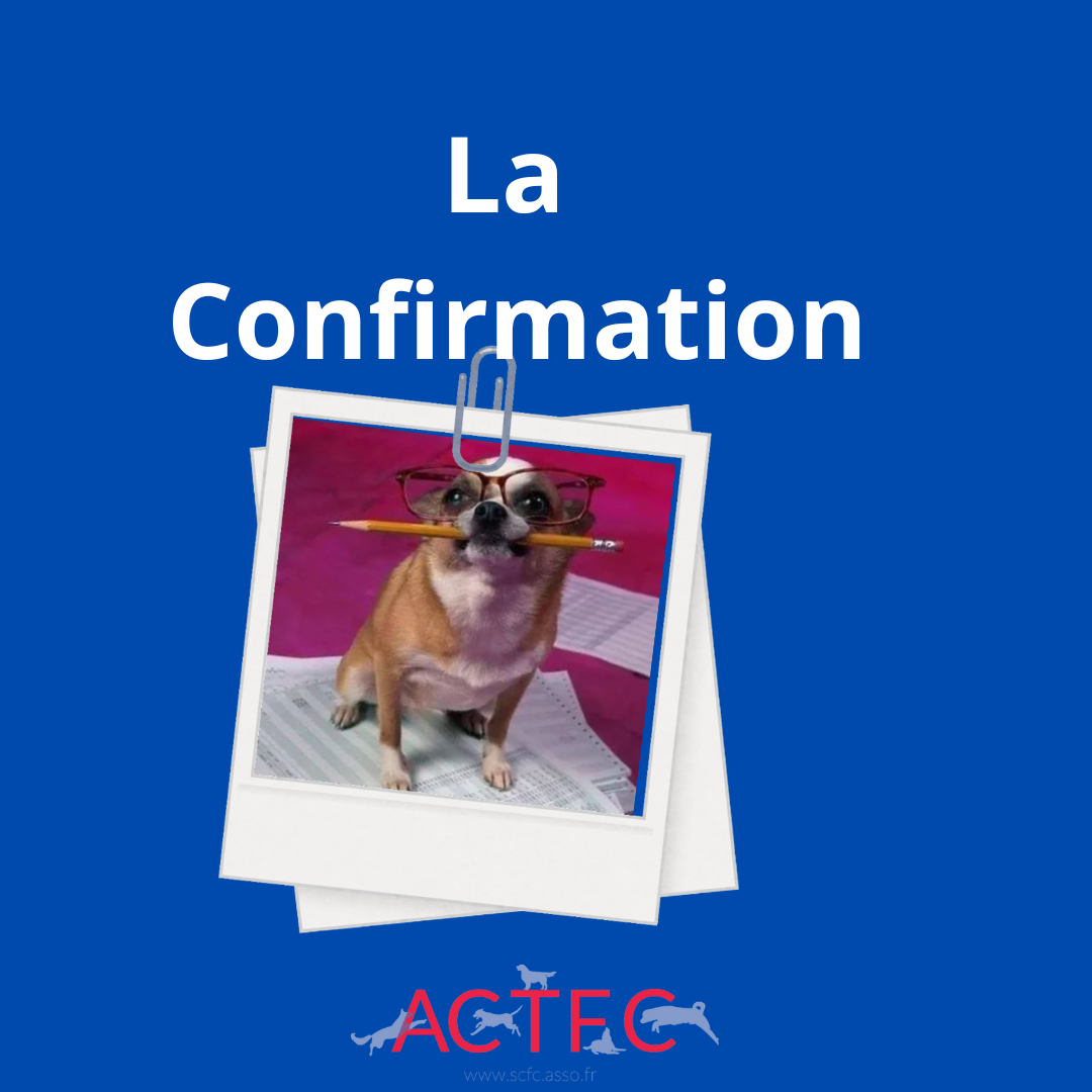 LA CONFIRMATION | ACTFC - Association Canine Territoriale de Franche Comté